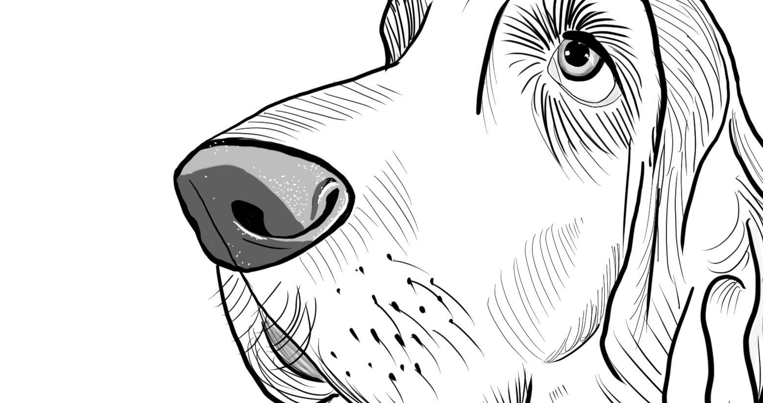 Home | Chanelle Wooldridge Art