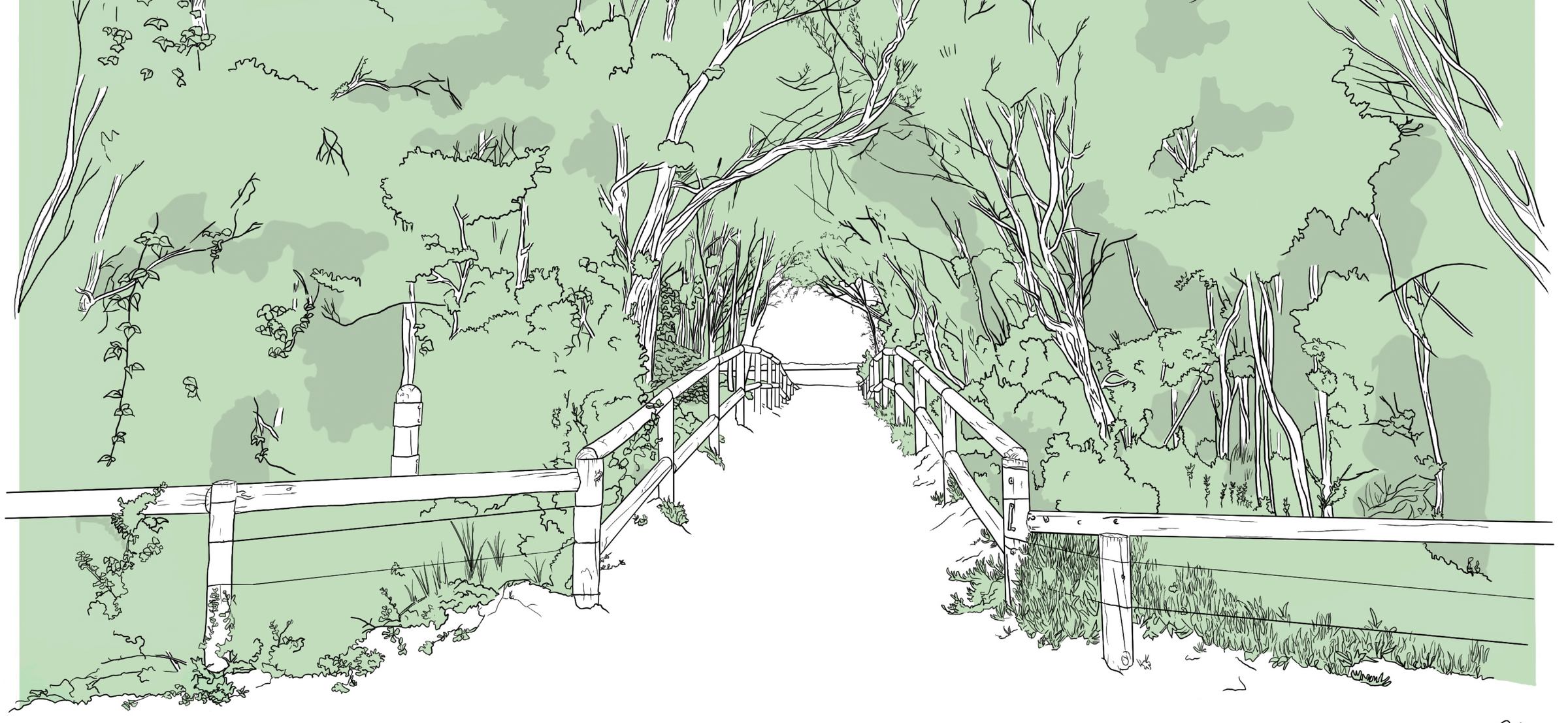 Home | Chanelle Wooldridge Art